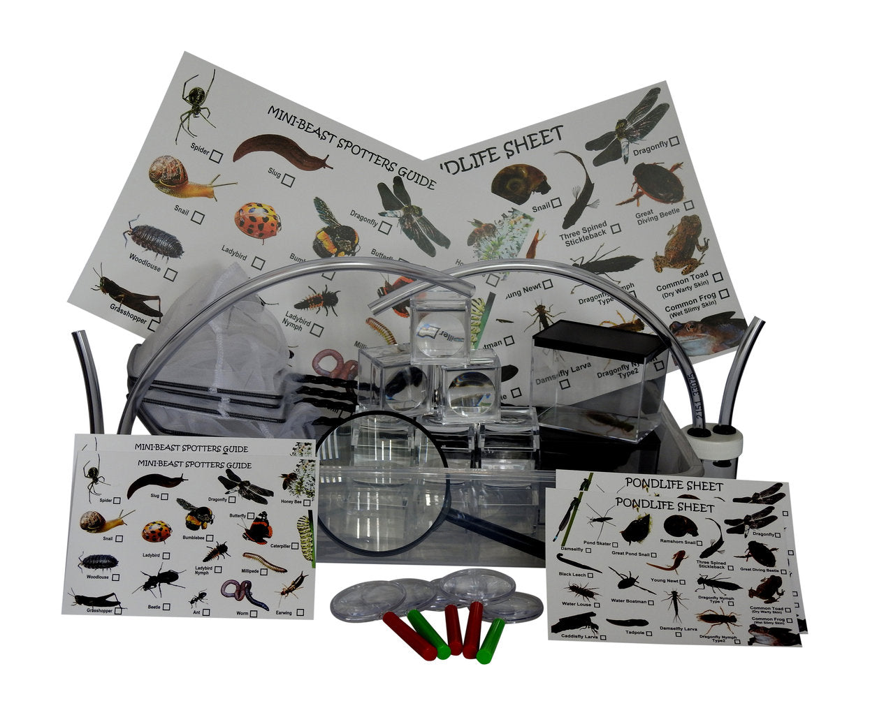 The Bug Store | Insect Cages | Bug Hunting Kits | Pond Dipping Kits ...