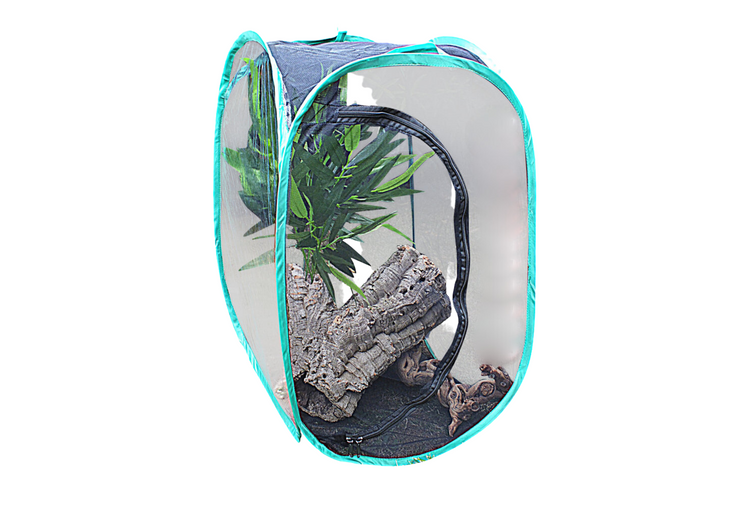 The Bug Store | Insect Cages | Bug Hunting Kits | Pond Dipping Kits ...