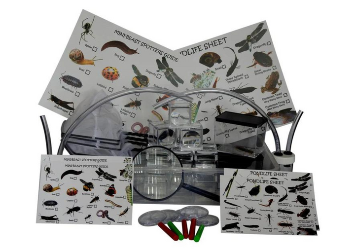 Bug Hunting Kits & Minibeast Kits – My BugZoo